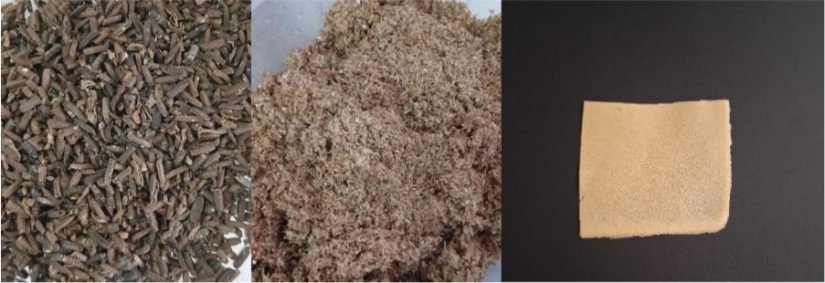 Tim PKM-RE FMIPA Kembangkan Bioplastik Ramah Lingkungan dari Limbah ...